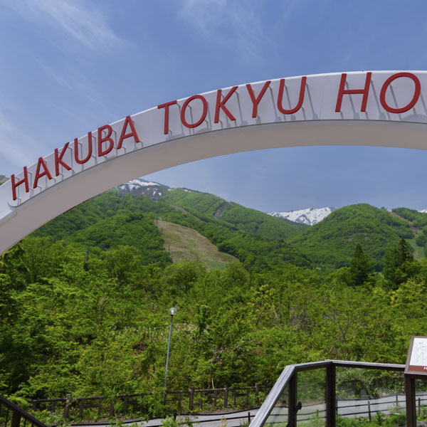 PROJECTS ｜ HOTELS & STORES ｜ S.T.U. co.,ltd.